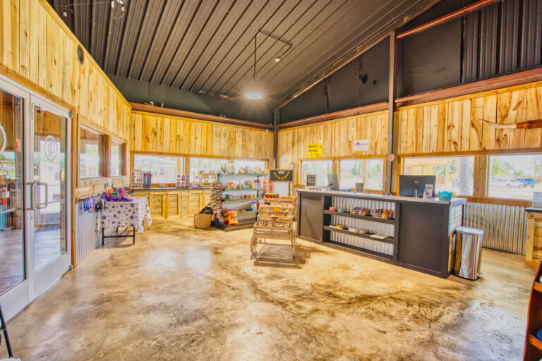 Amenities - Lagoon Ranch Luxury RV & Cabin Resort